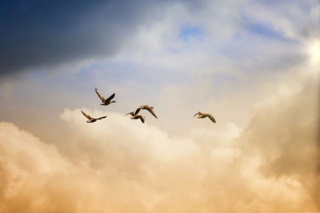 Le Paradis Sur Terre Accueillir La Conscience Divine